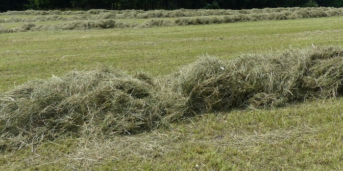 Comment faire son foin