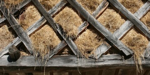 Comment faire son foin