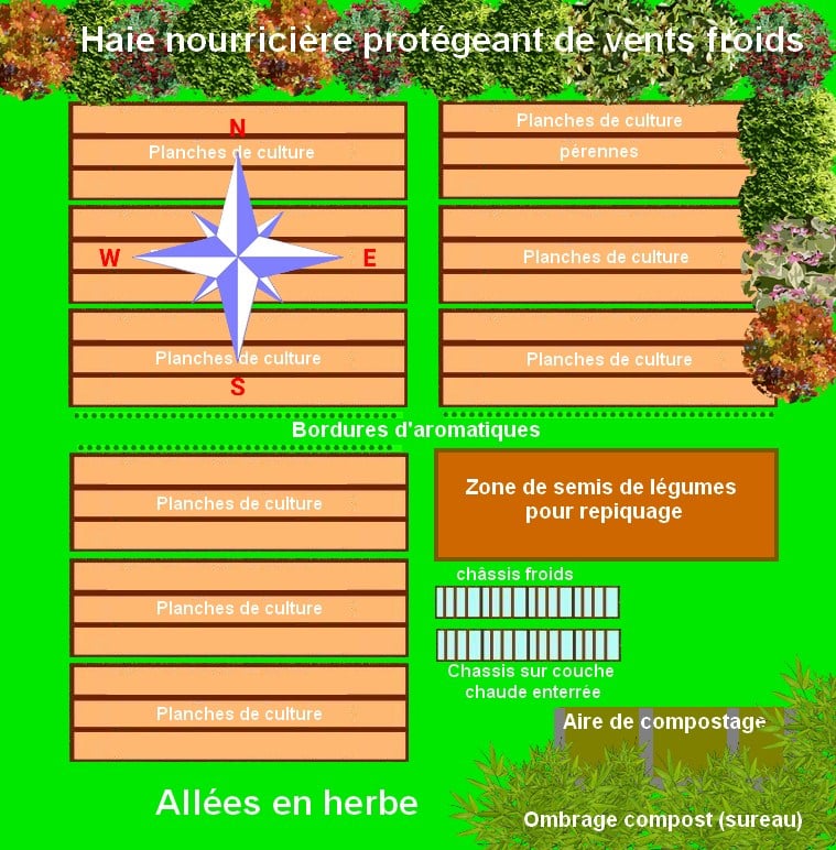 La création du potager biologique en permaculture