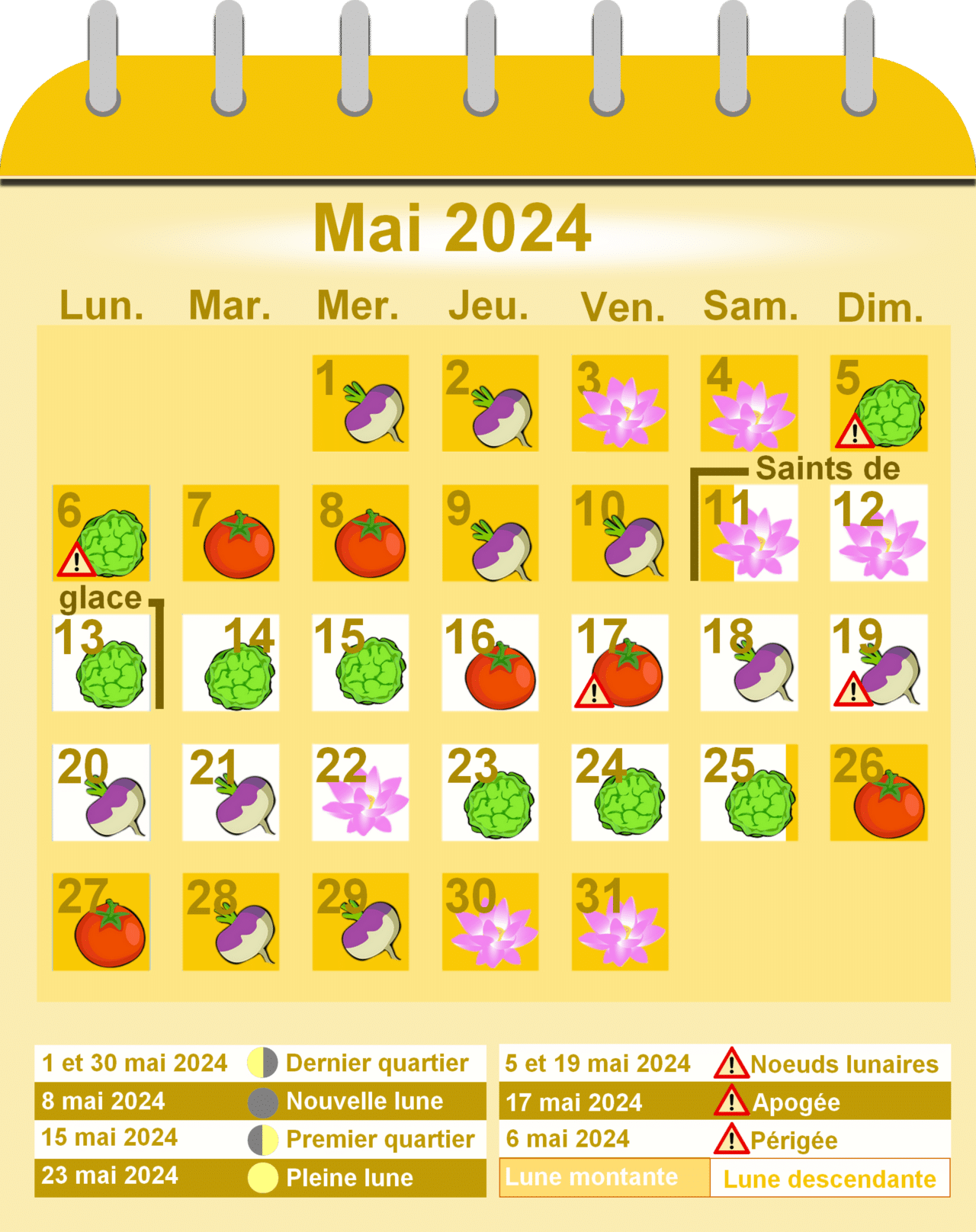 Calendrier lunaire 2024 en permaculture mois par mois