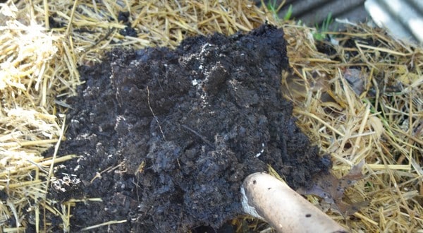 Compost un amendement fertilisant gratuit en permaculture