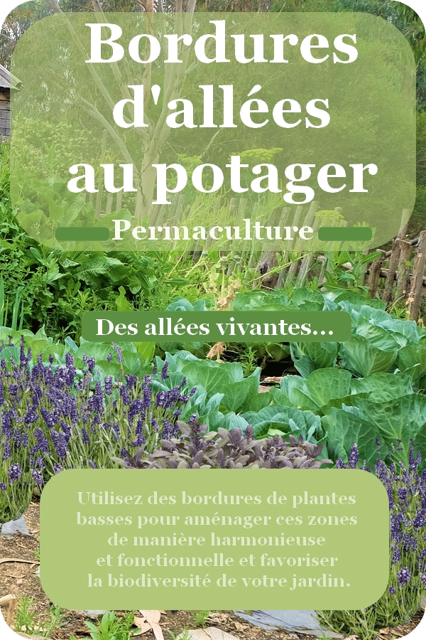 Allées et bordure d'allée pour le potager en permaculture
