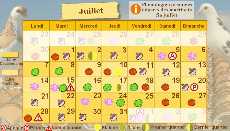 Notre calendrier lunaire 2025pour le jardin en permaculture