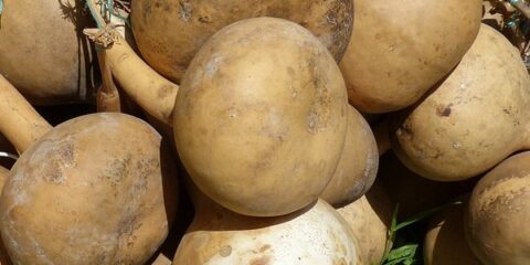 La Calebasse : pour la cuisine, l'artisanat et la musique.