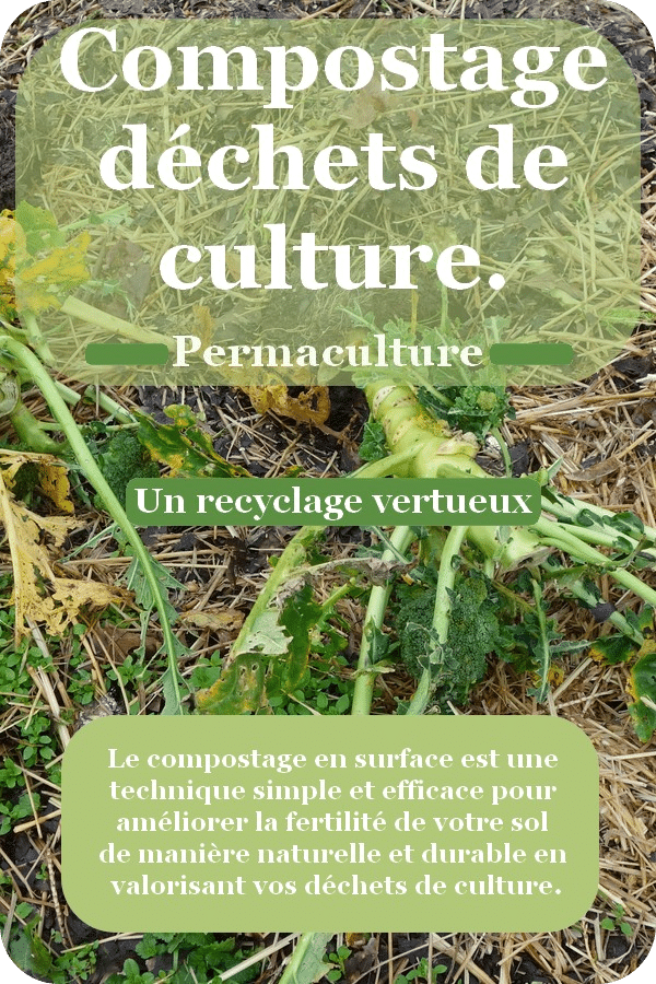Détritus et déchets de culture, le compostage en surface